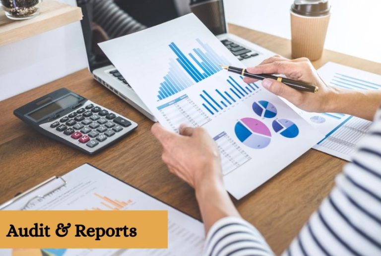 Audit and Report Services | How to Audit - Risk Model